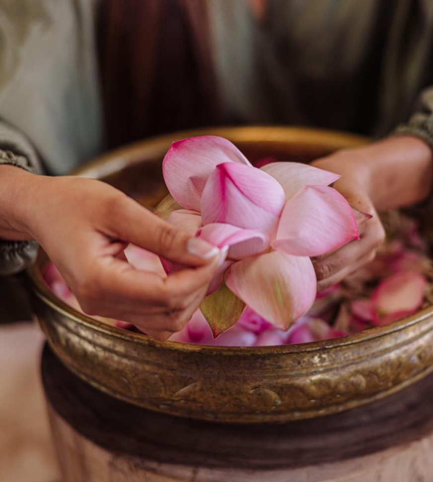 Premium Flower Arrangements & Floral Gifts for Every Occasion – Fancy ...