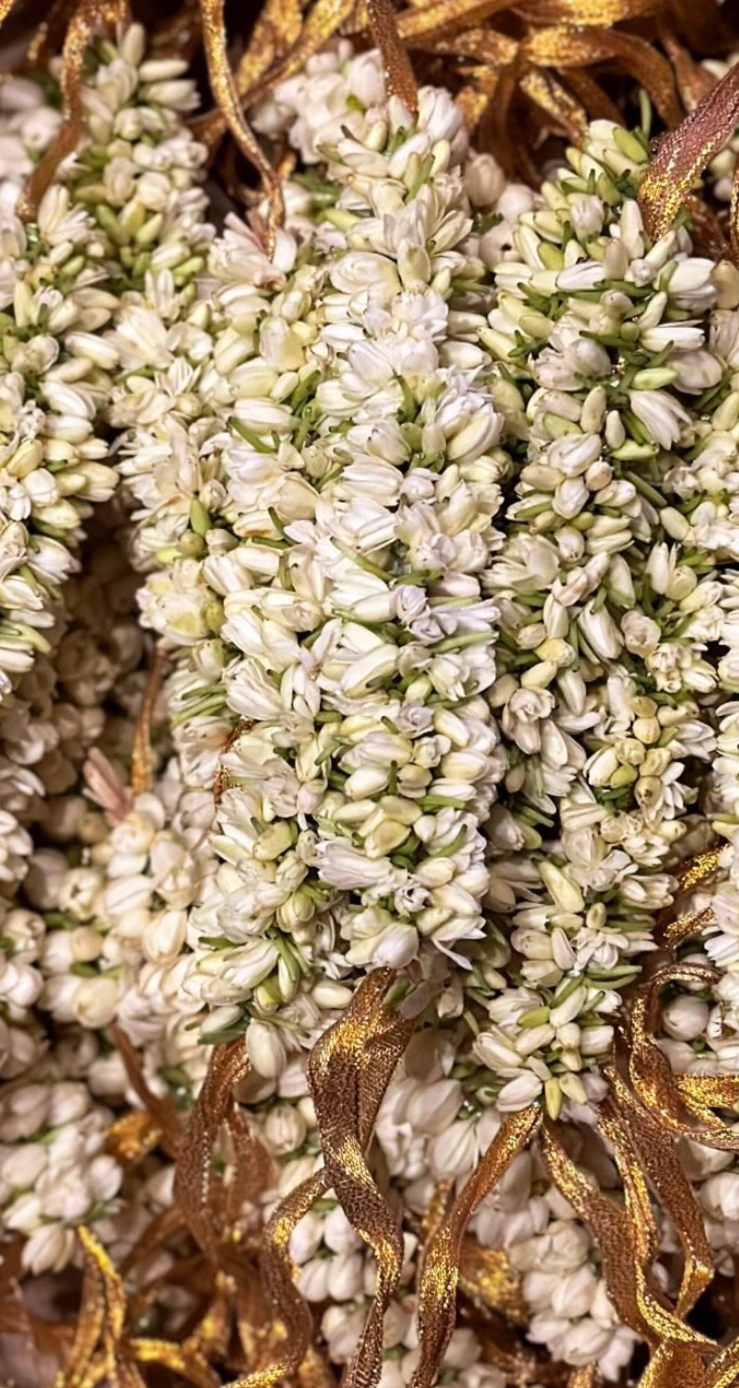 Mullai – Fancy Florist