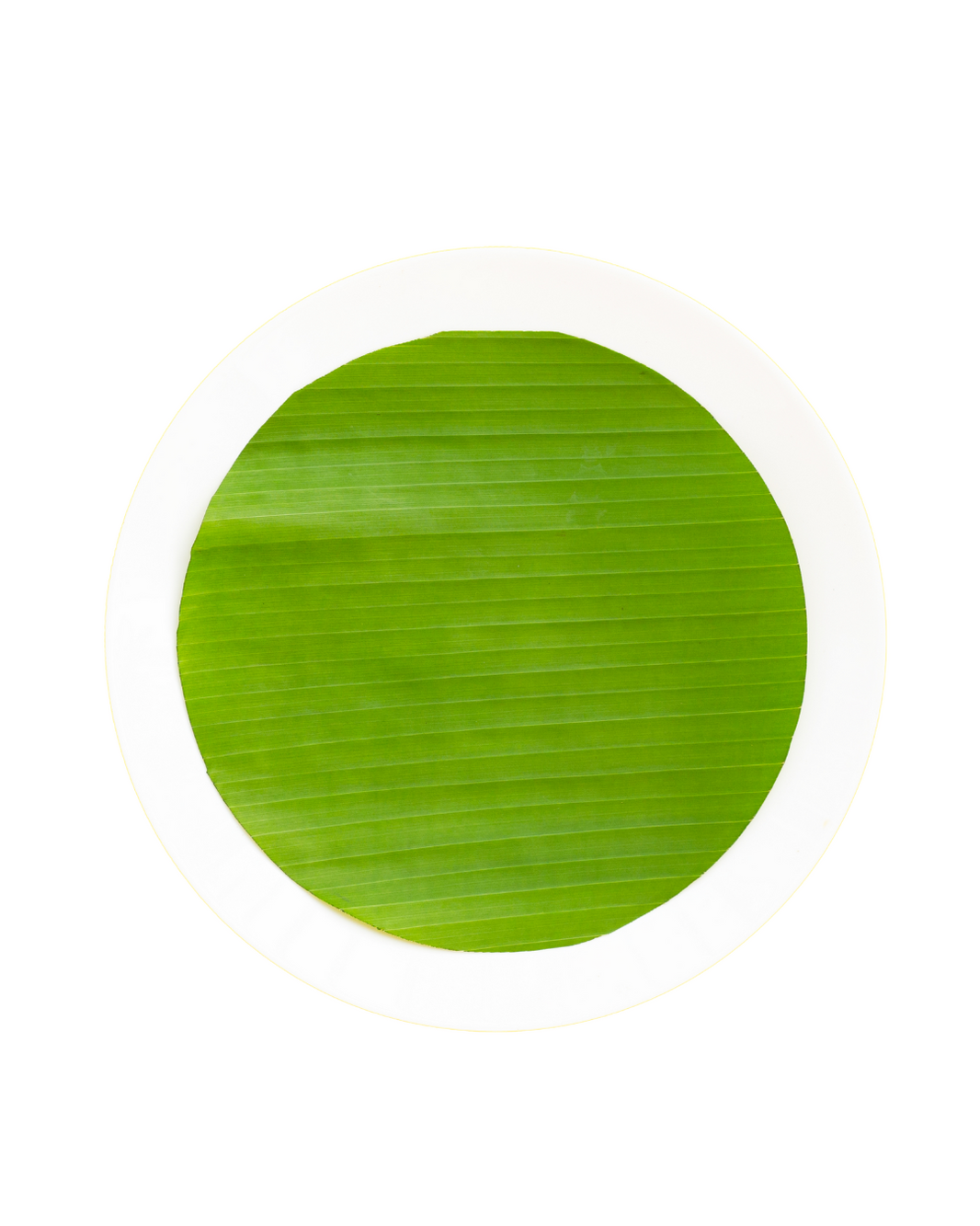 Banana Leaves – Fancy Florist