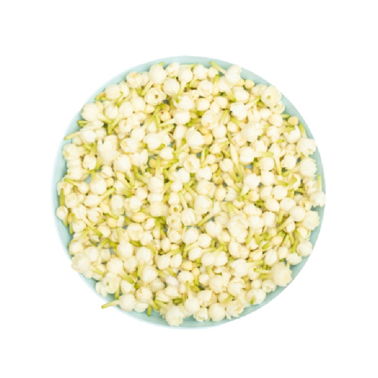 Jasmine – Fancy Florist