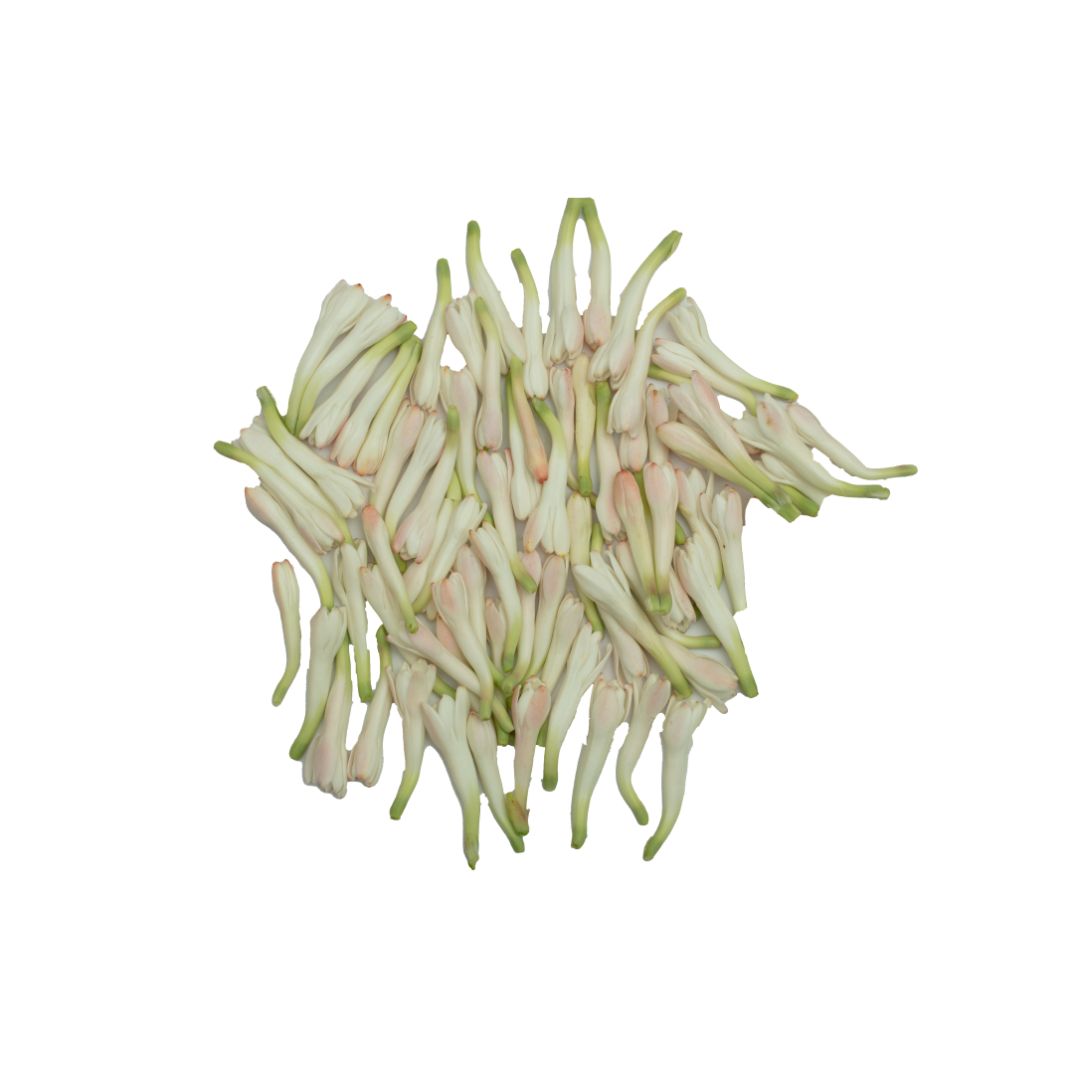 Sampangi (Lily) - Fancy Florist